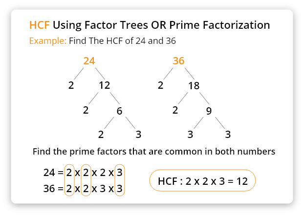 Factors Of 24